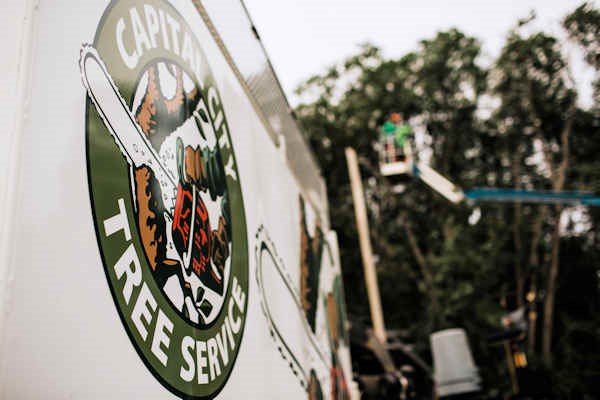 Contact Capital City Tree Service