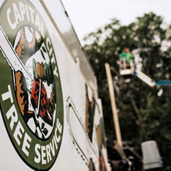 Contact Capital City Tree Service