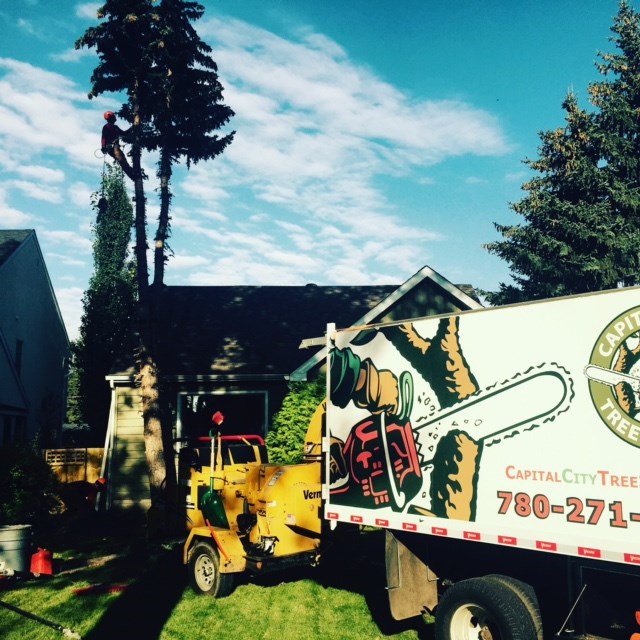 Contact Capital City Tree Service