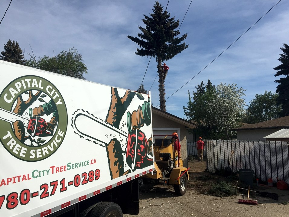 About Capital City Tree Service